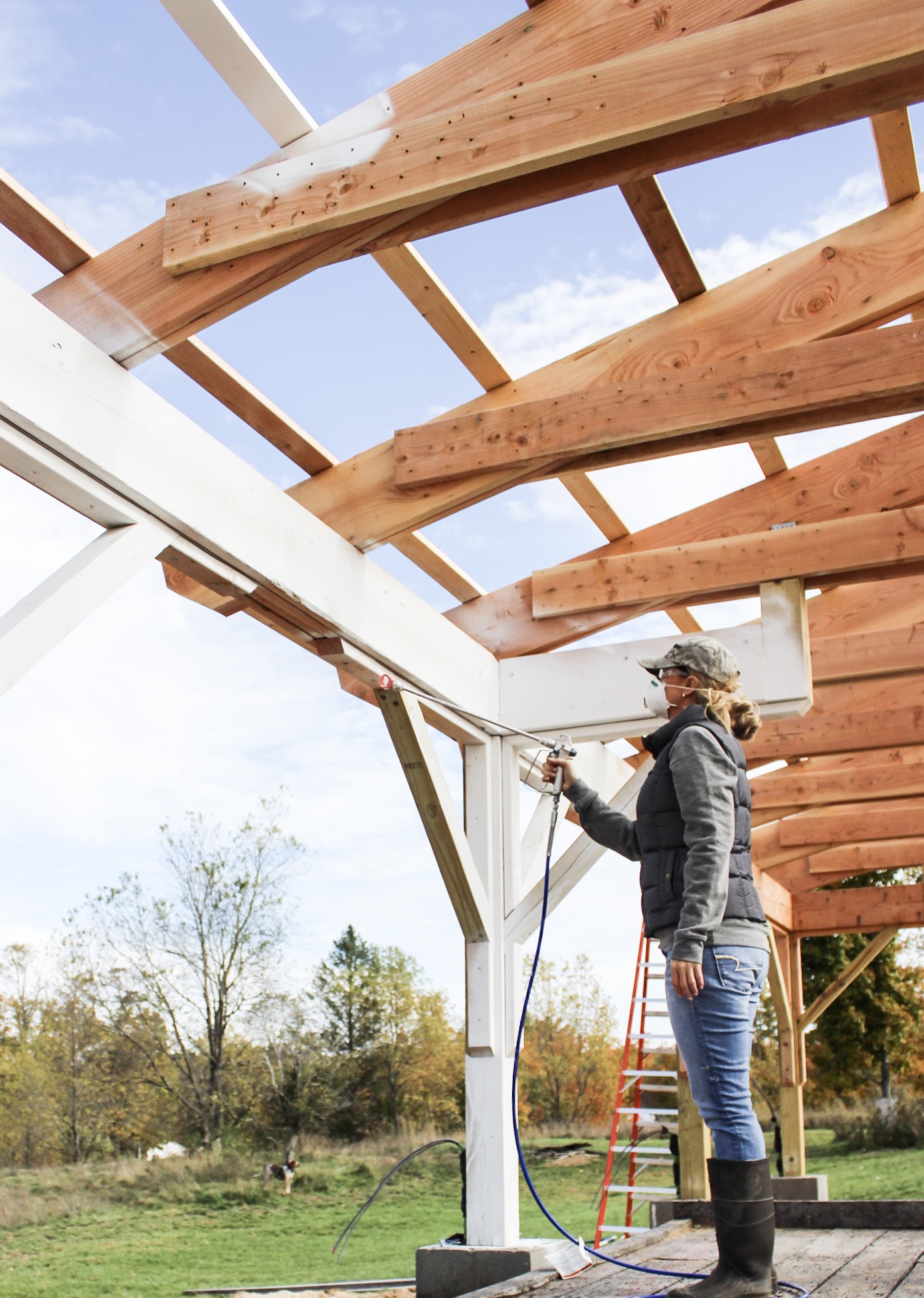 The Home Depot ProjectColor™️ App: Choosing The Perfect Paint Color ...